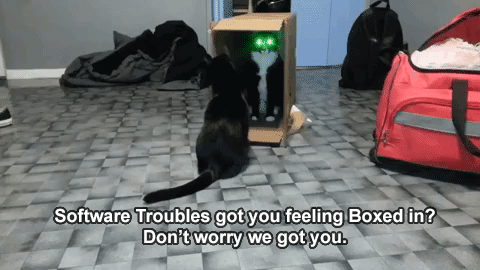 Cat Box GIF - Find & Share on GIPHY