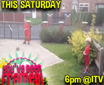 GIF by You've Been Framed! - Find & Share on GIPHY