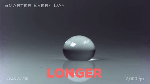 Smartereveryday GIFs - Get the best GIF on GIPHY