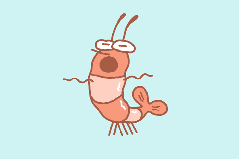 Shriimp GIFs - Get the best GIF on GIPHY