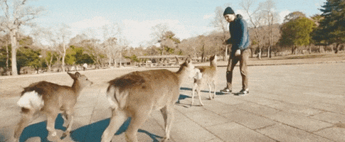 Around The Back GIFs - Get the best GIF on GIPHY