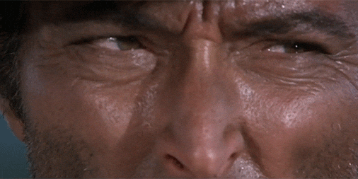 Stare-off GIFs - Get the best GIF on GIPHY