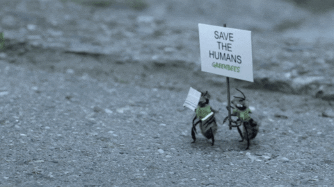 Pesticide GIFs - Get the best GIF on GIPHY