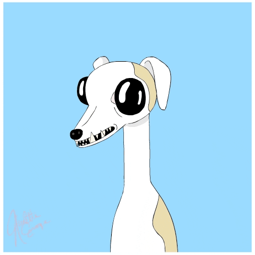 Whippets GIFs - Get the best GIF on GIPHY