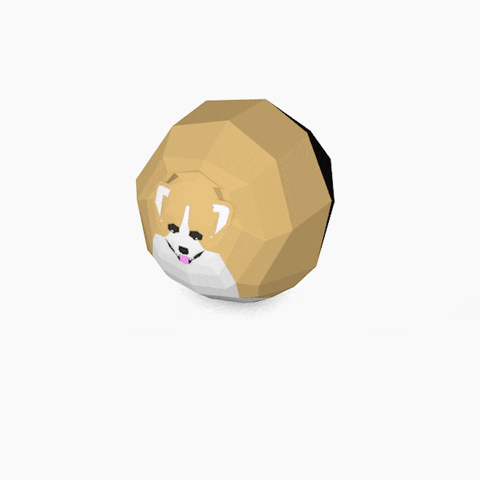 Roly Poly Dog GIF by bigblueboo - Find & Share on GIPHY