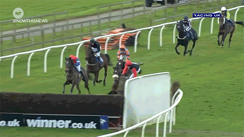 Funny Horse Racing Gif