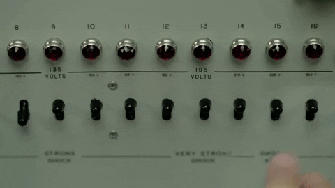 Very-experimental GIFs - Get the best GIF on GIPHY