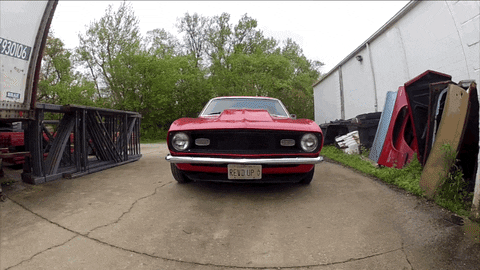 Car Lick GIFs - Get the best GIF on GIPHY