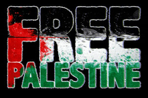 Palestine-flag GIFs - Get the best GIF on GIPHY