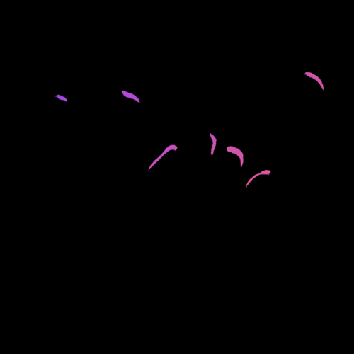 Merriam Webster Word Of The Day - Wakelet