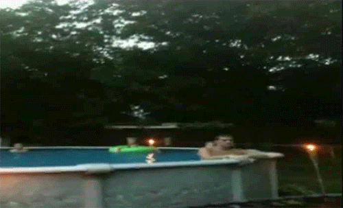 Afv GIF by America's Funniest Home Videos - Find & Share on GIPHY