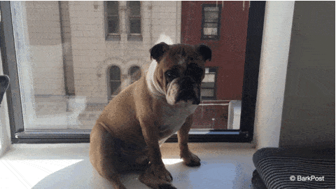 Sad Aww Gif