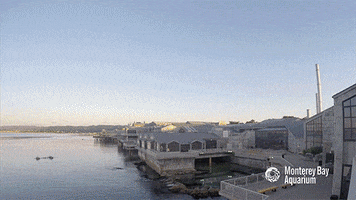 Time Lapse Sunset GIFs - Find & Share on GIPHY