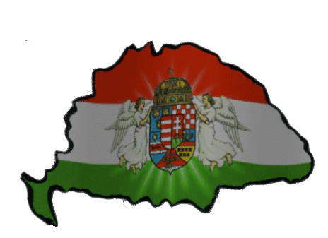 Flag Hungary Sticker by irgum for iOS & Android | GIPHY