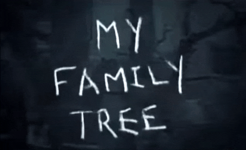 Family-tree-records GIFs - Get the best GIF on GIPHY