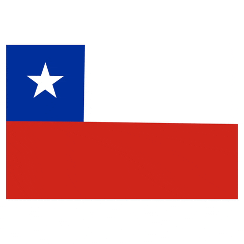Banderas GIFs - Get the best GIF on GIPHY