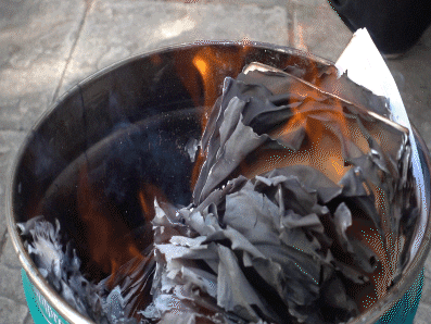 - Find & Share on GIPHY