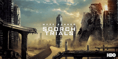 The Maze Runner GIFs - Find & Share on GIPHY