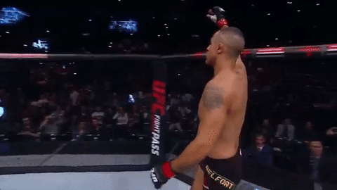 Ufc 212 GIF - Find & Share on GIPHY