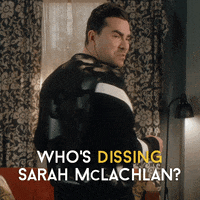 Sara Mclaughlin Meme