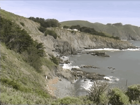 More Like 500K Wtf GIFs - Get the best GIF on GIPHY