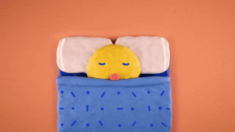 Sleeping In Good Morning GIF by Mighty Oak - Find & Share on GIPHY