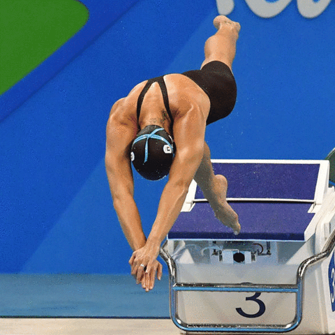 Backstroke Swimming Pool GIFs - Find & Share on GIPHY