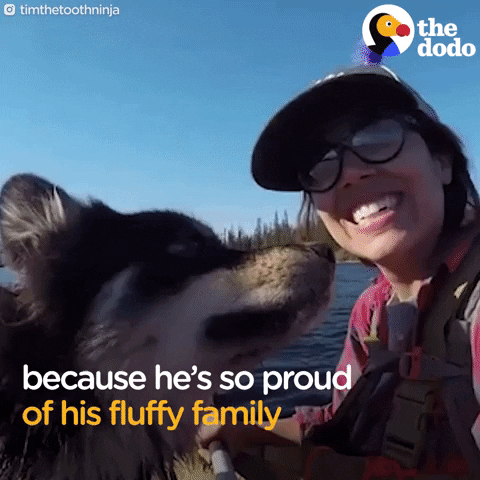 Dog GIF by The Dodo - Find & Share on GIPHY
