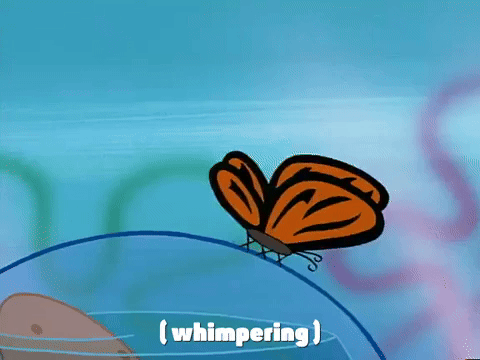 Spongebob Squarepants Butterfly