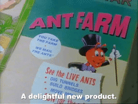 Ant Farm Paisley Gif