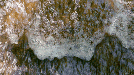 Decompose Gifs Find Share On Giphy