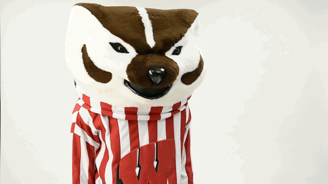 Wisconsin Bucky GIF by uwmadison - Find & Share on GIPHY