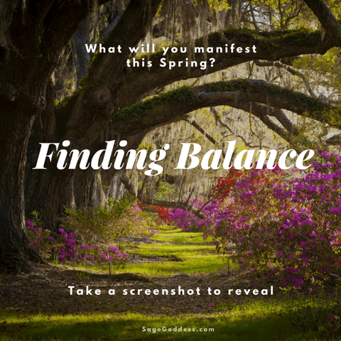 Find Balance GIFs - Find & Share on GIPHY