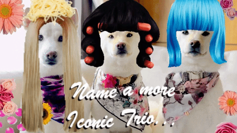 Iconic Trio GIFs - Get the best GIF on GIPHY