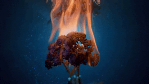 Majid Bani GIFs - Get the best GIF on GIPHY