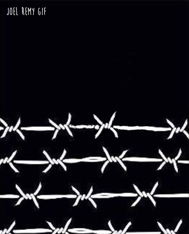 Barbed Wire Joel Remy Gif GIF - Find & Share on GIPHY