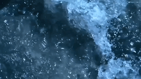 Gold Rush White Water GIFs - Get the best GIF on GIPHY
