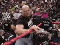 Stone Cold Beer Smash Gif