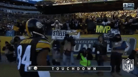 Pittsburgh Steelers Football GIF by NFL - Find & Share on GIPHY