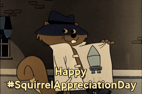 Squirell Appreciation Day GIFs - Get the best GIF on GIPHY