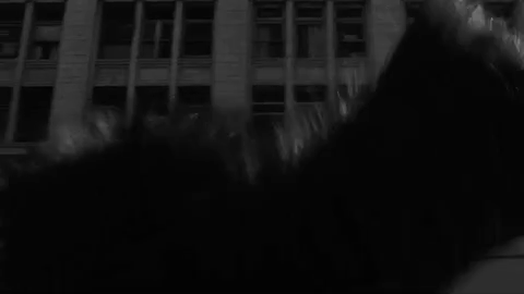 Sideline GIF by NIIA - Find & Share on GIPHY