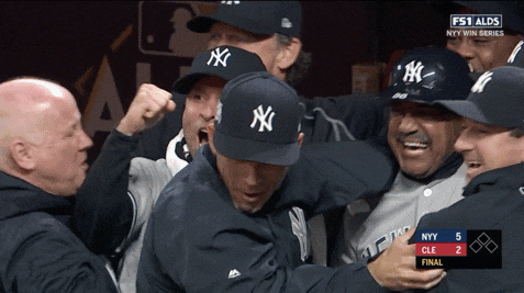 Yankees GIF by Jomboy Media - Find & Share on GIPHY