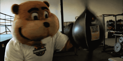 Goldy Gopher Memes