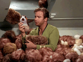 The Trouble With Tribbles GIFs - Find & Share on GIPHY