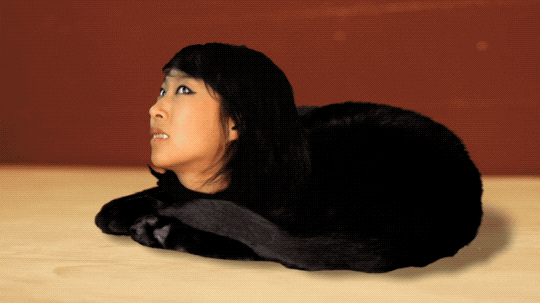 Shayne Ehman GIFs - Get the best GIF on GIPHY