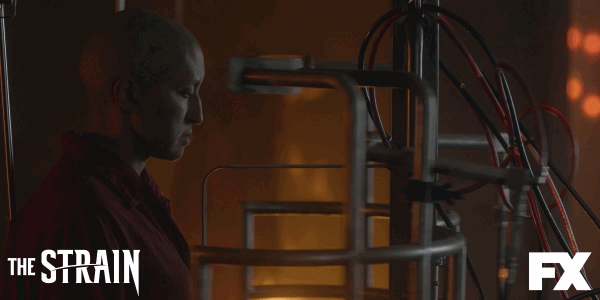 - Find & Share on GIPHY