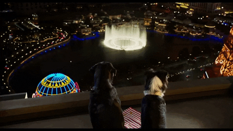 Highest-rooftop-bar GIFs - Get the best GIF on GIPHY