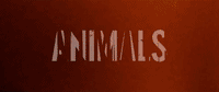 Maroon 5 Animals Gif