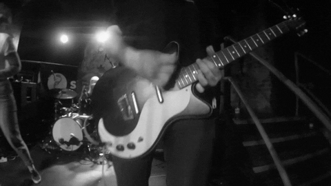 Punk Cat GIFs - Get the best GIF on GIPHY