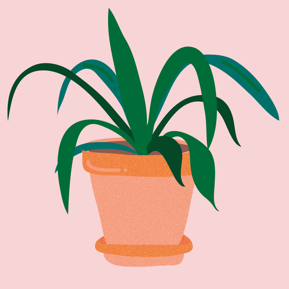 Grow Take Care GIF by Robyn Janine - Find & Share on GIPHY
